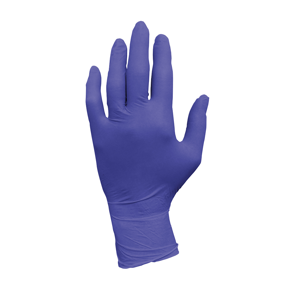 ProWorks Blue-Violet Nitrile Exam Gloves, Powder-Free, 3 mil (HOS-GL ...