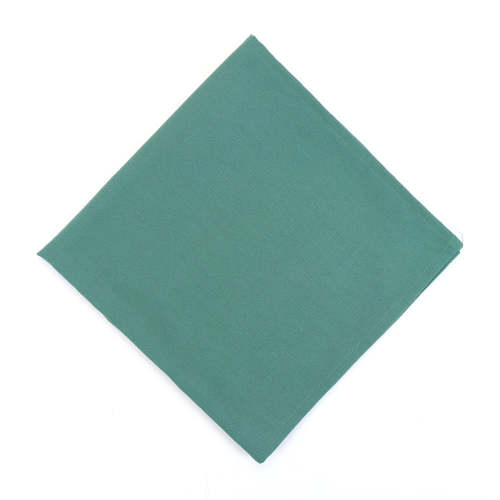 Monarch Brands PNP-NAP-GREEN-25 Mariposa Poly Spun Napkin 20x20 Green ...
